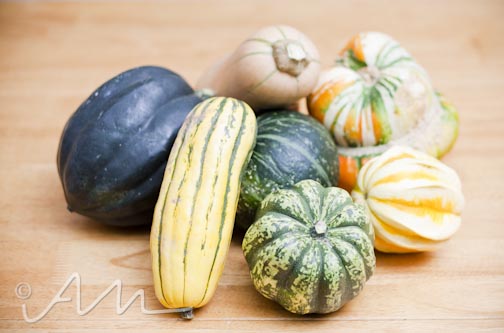 {foto friday – seven different kinds of squash} | food & foto